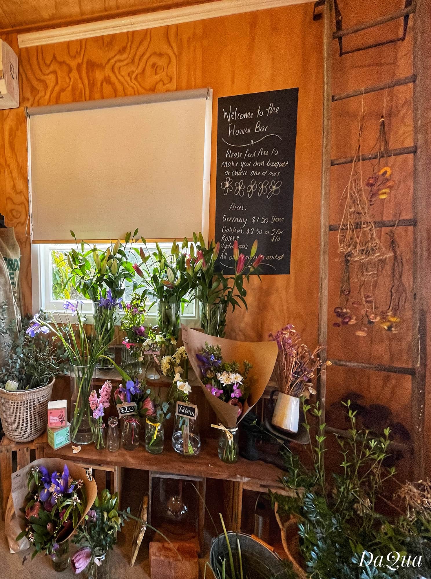 Waitati Wandering – Ausemade