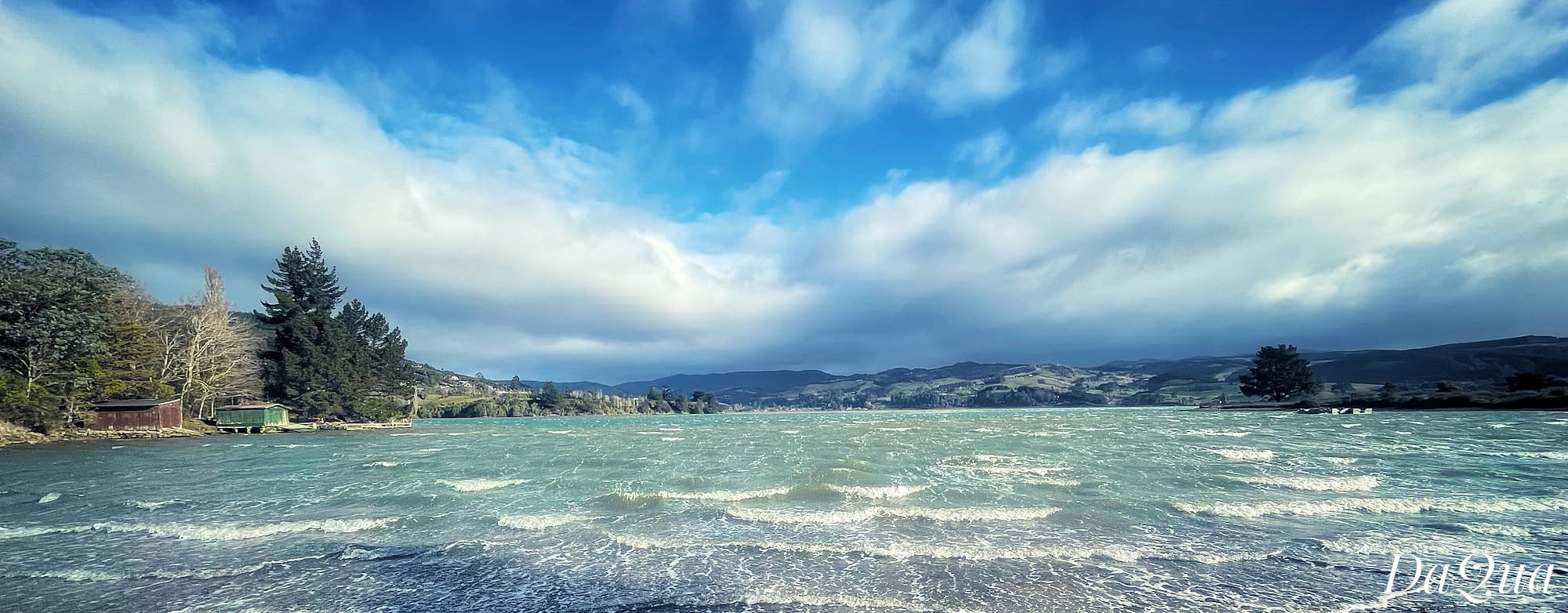 The Doctors Have a Point – Ausemade