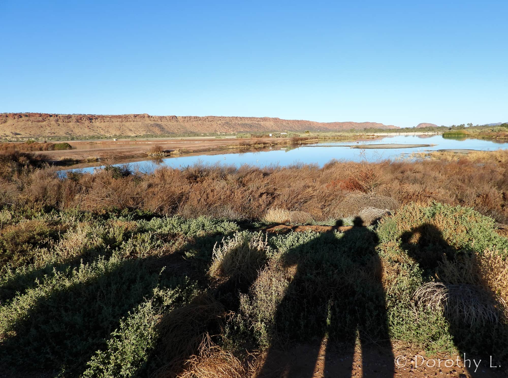 Landscape at the Ponds – Ausemade