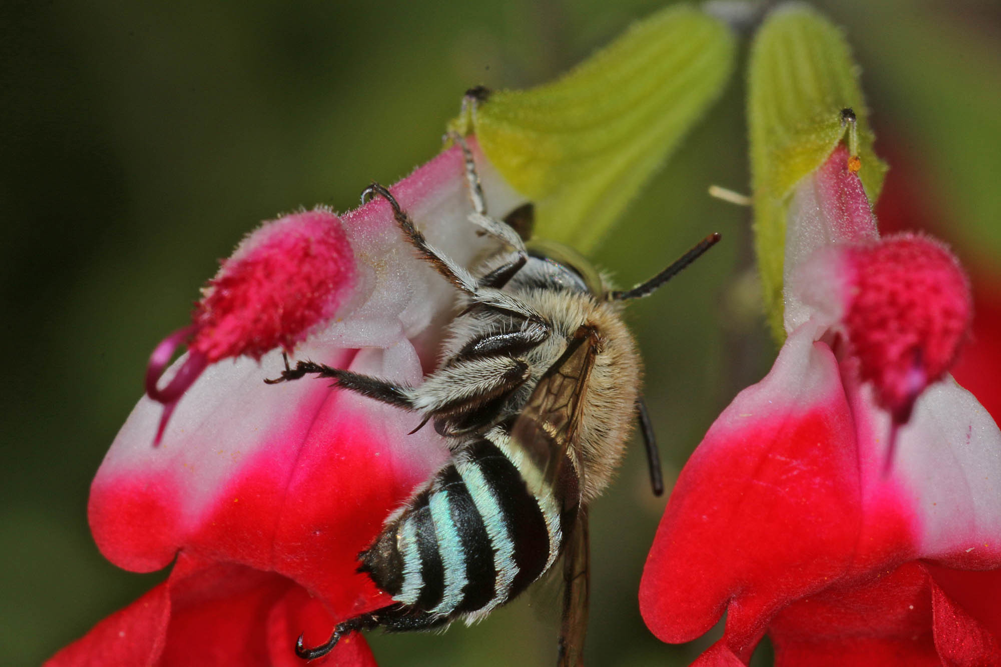 Southern Downs QLD – Ausemade