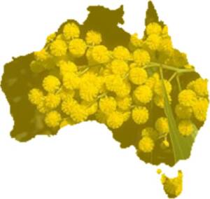 Floral Emblems of Australia – Ausemade