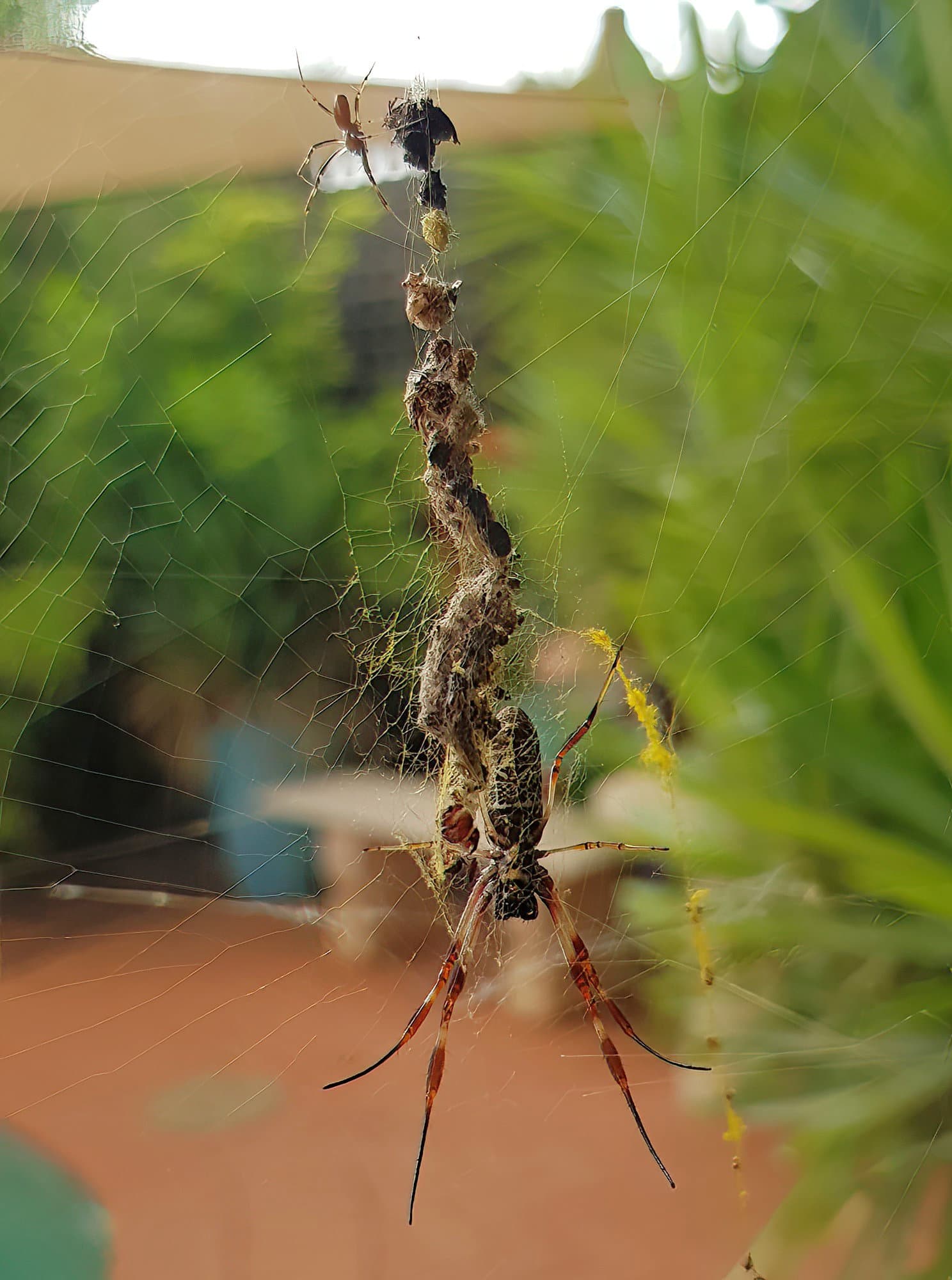 There’s more than size, when opposite attracts – Ausemade