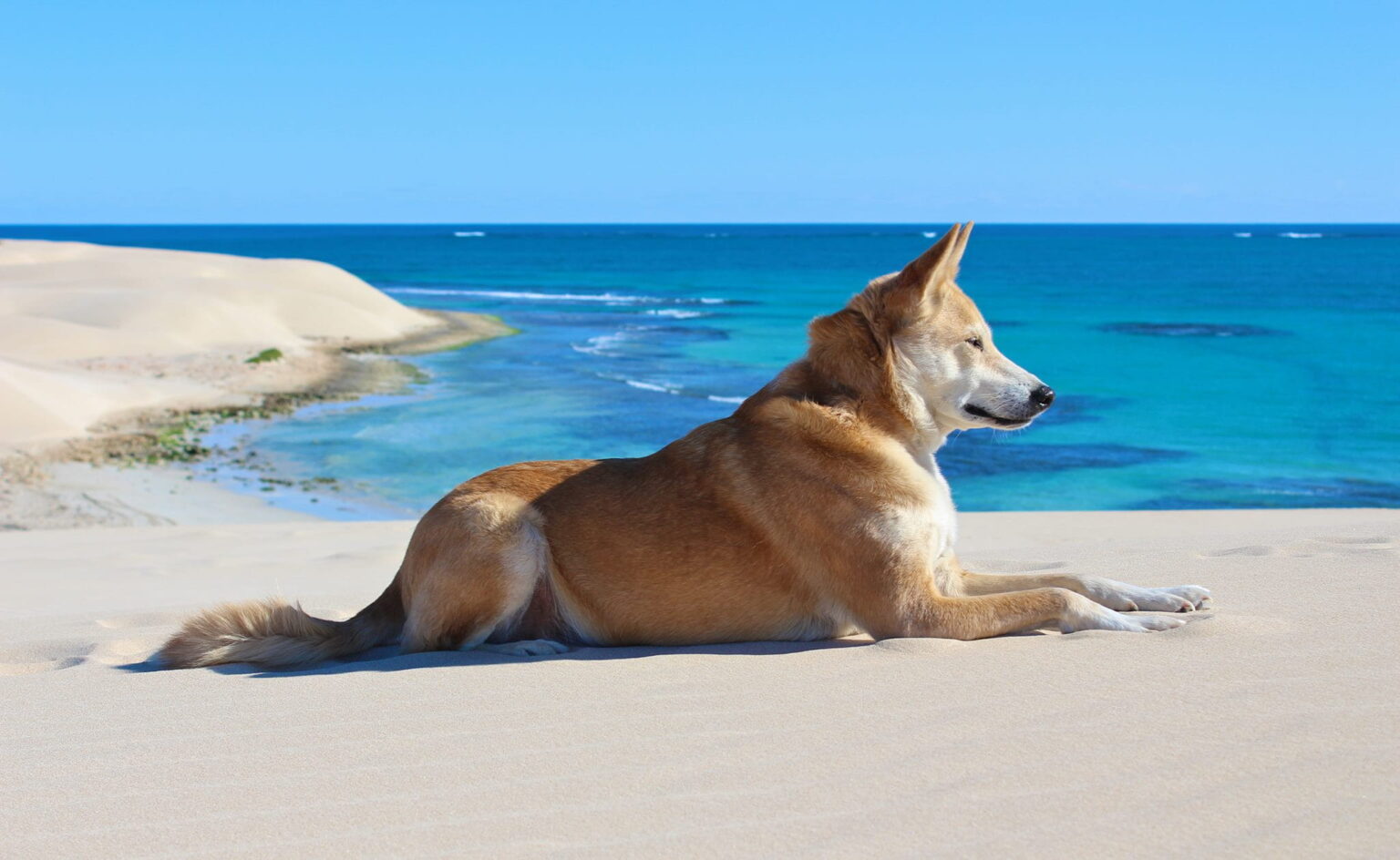 Destination Western Australia – Ausemade