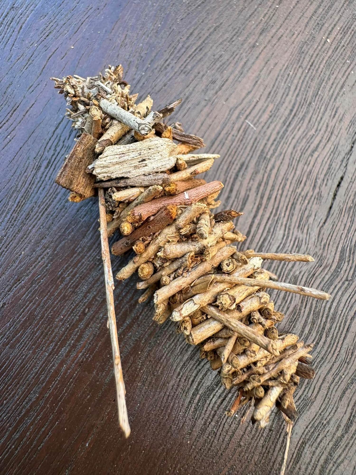 Case Moths (Variety of Cocoons) – Ausemade