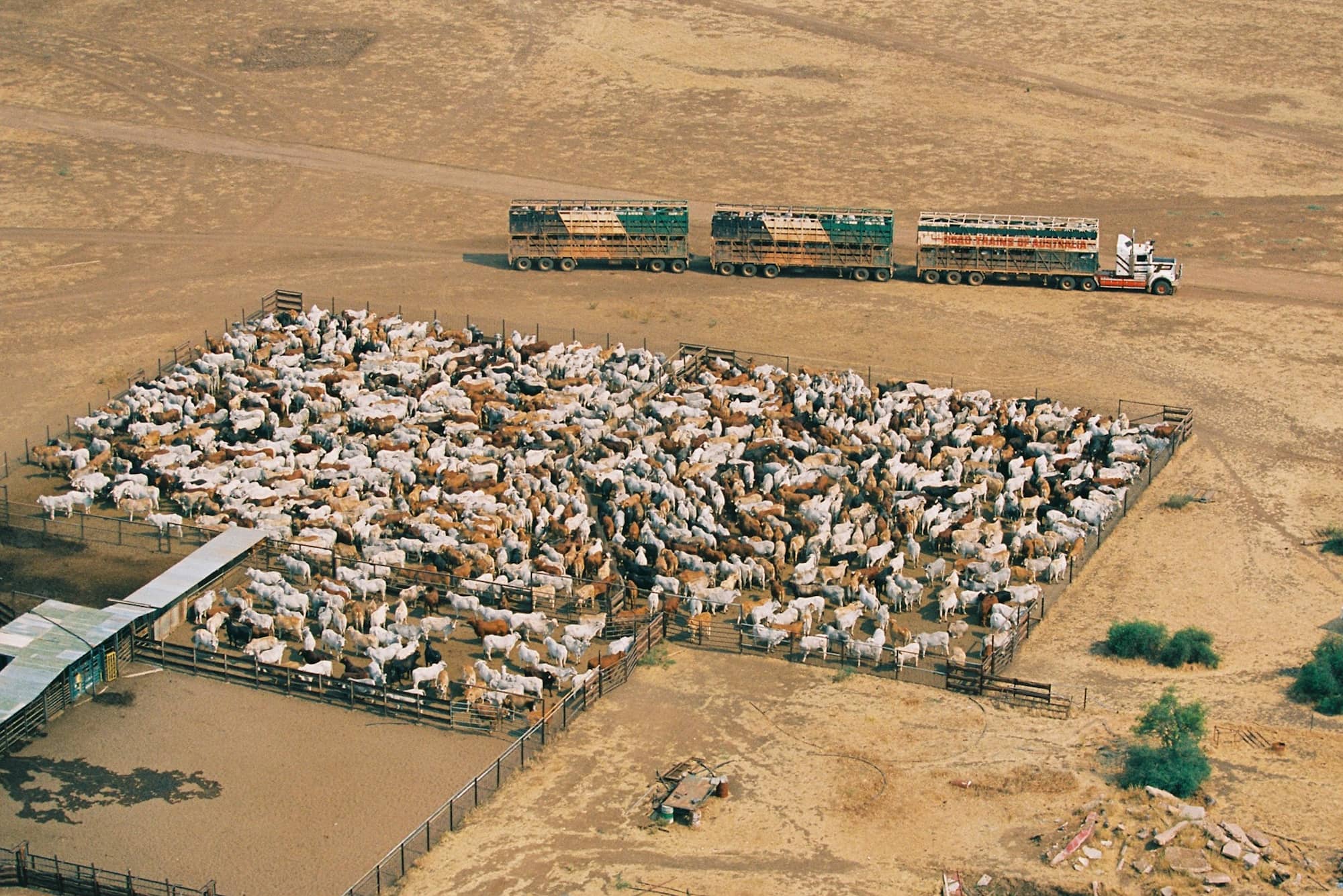 Snapshots Road Trains in Australia – Ausemade