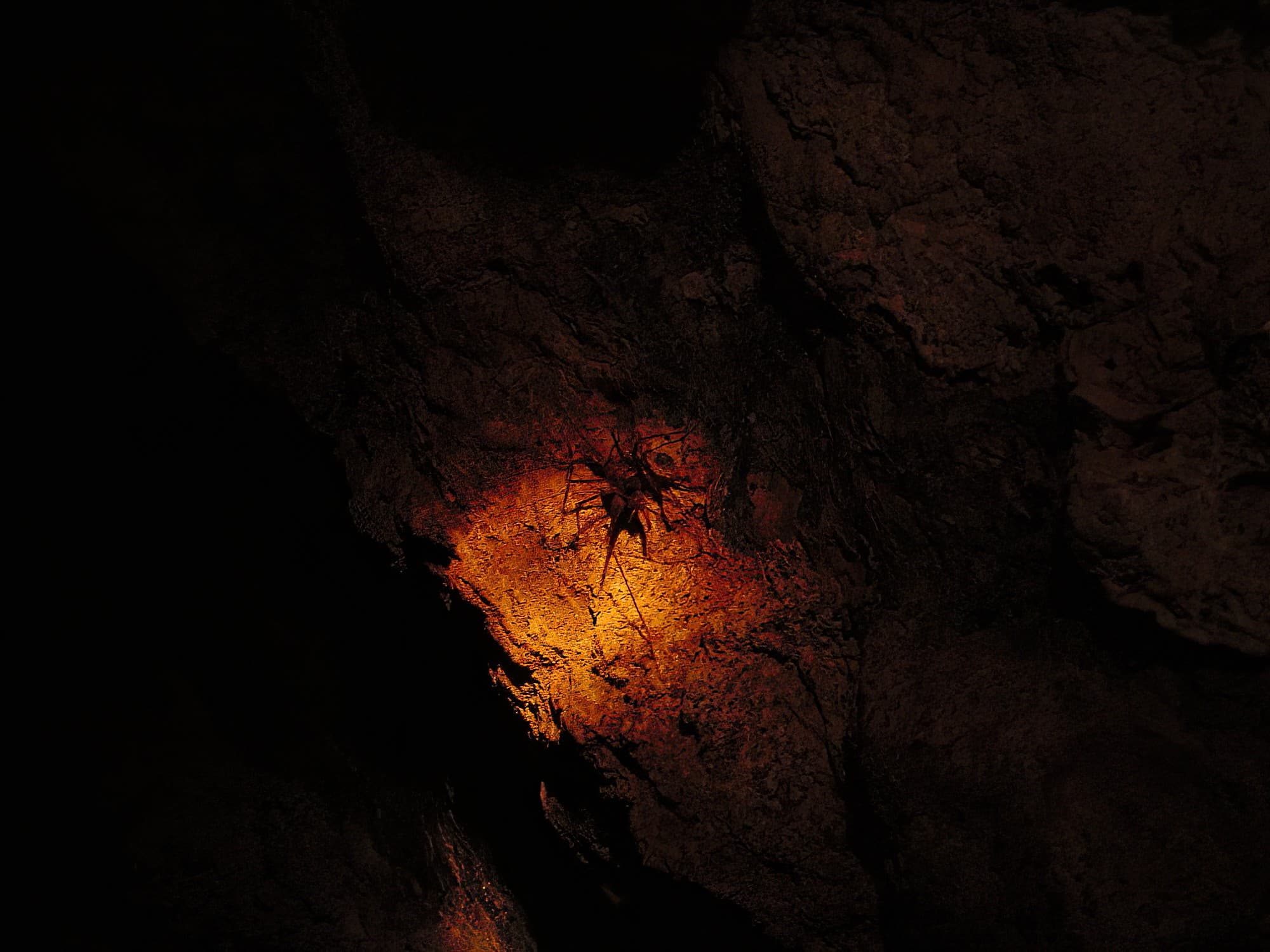 Baldocks Cave – Ausemade