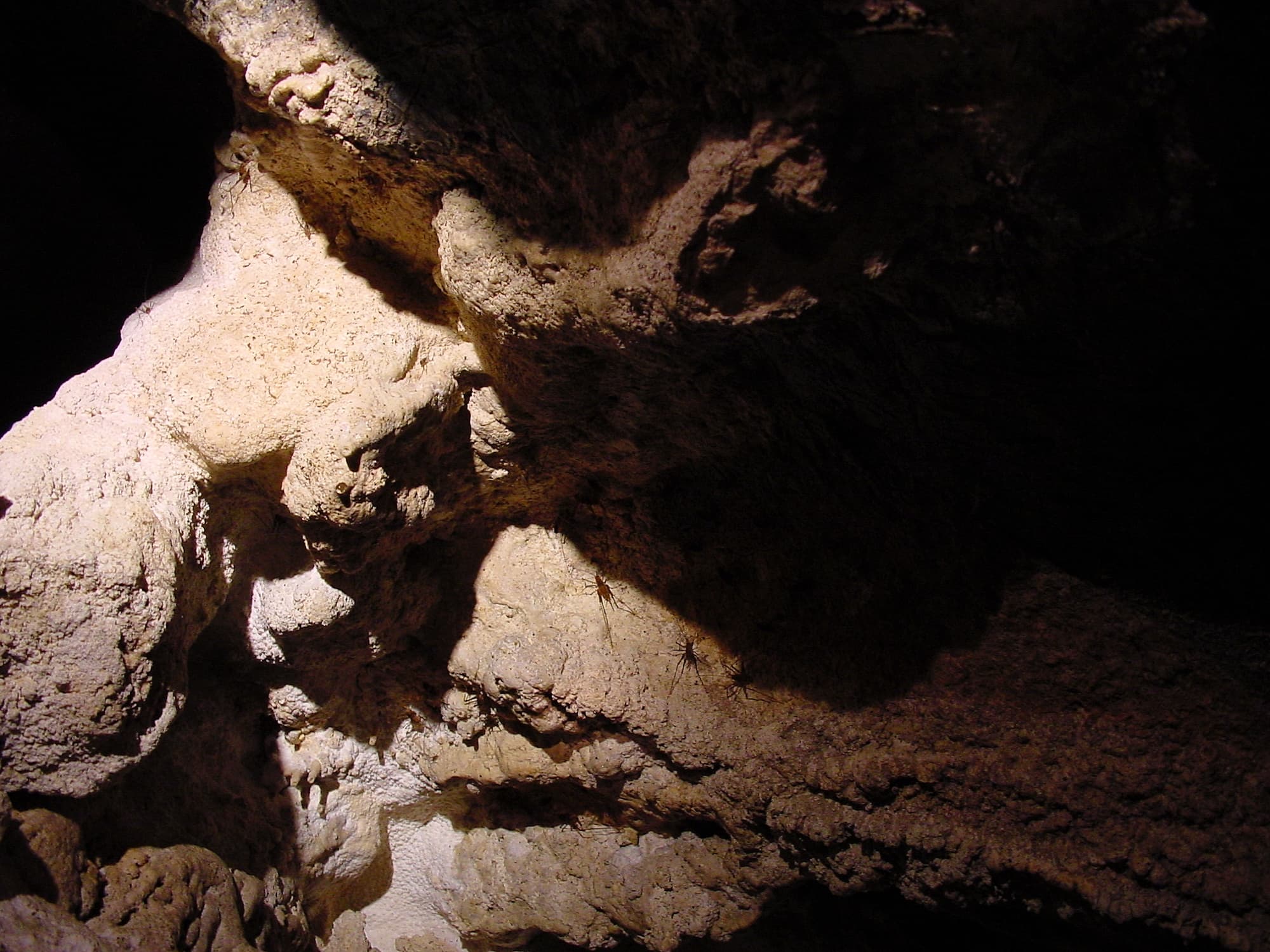 Baldocks Cave – Ausemade