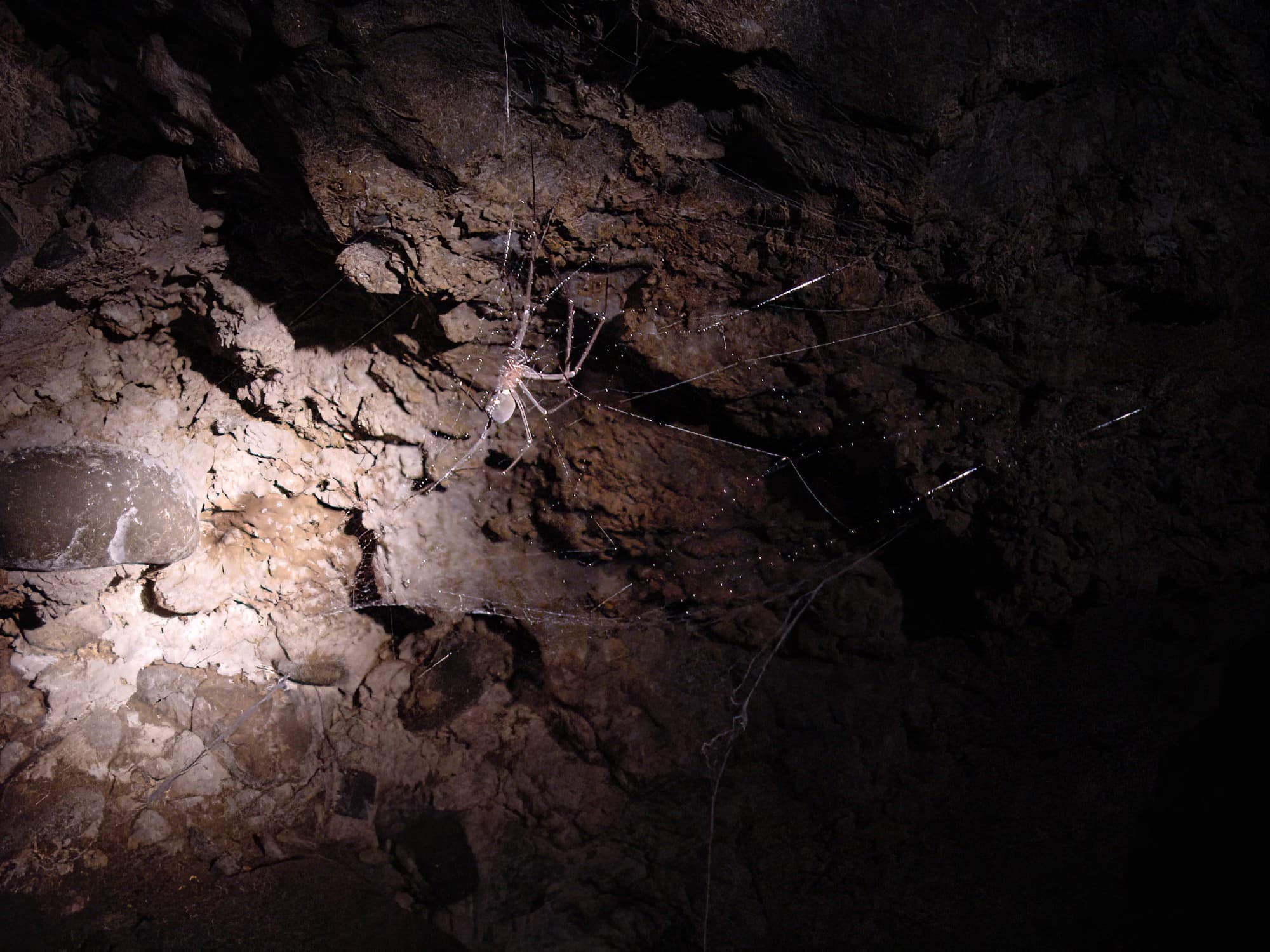 Baldocks Cave – Ausemade