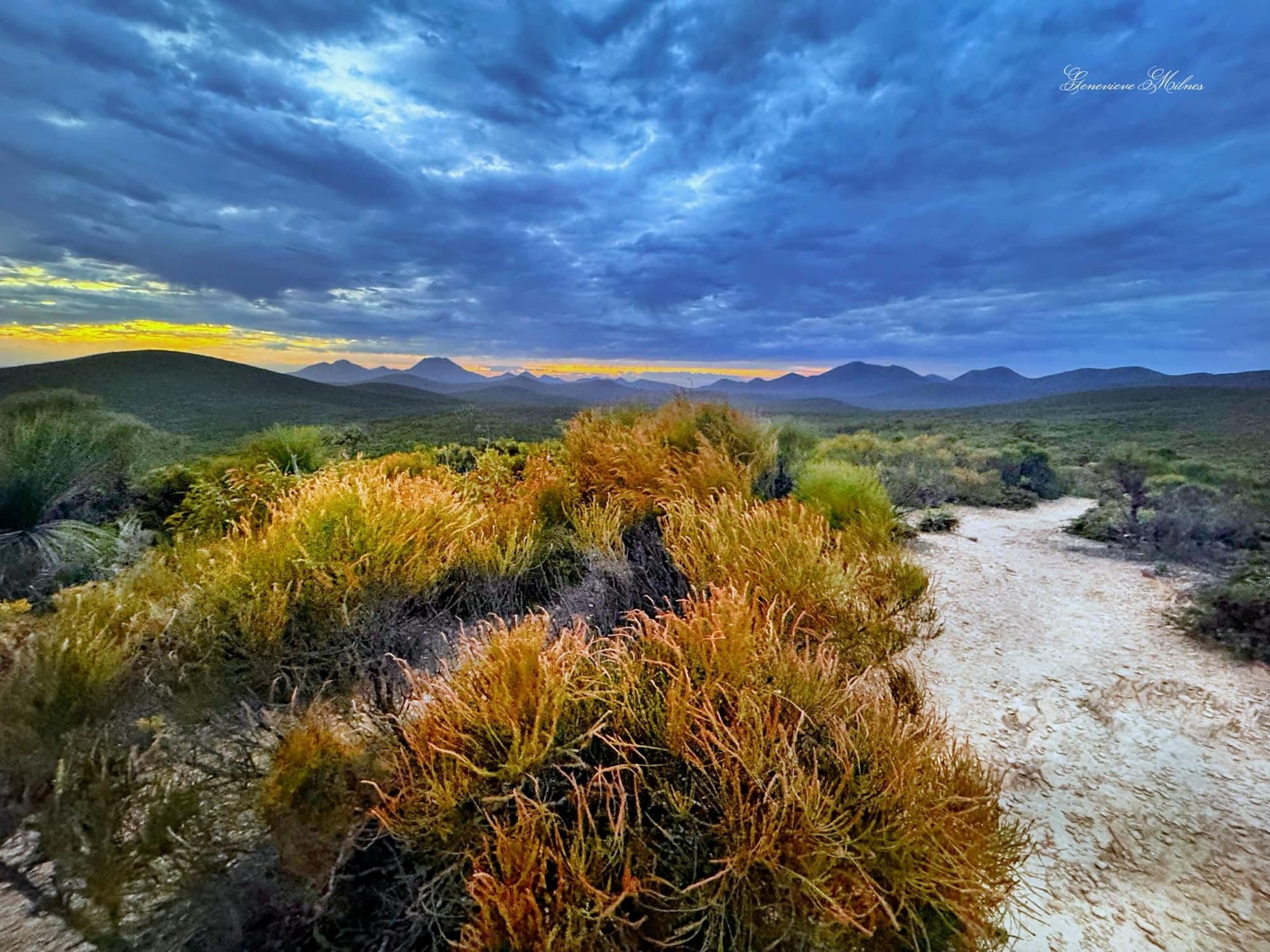 Stirling Range National Park Landscape – Ausemade