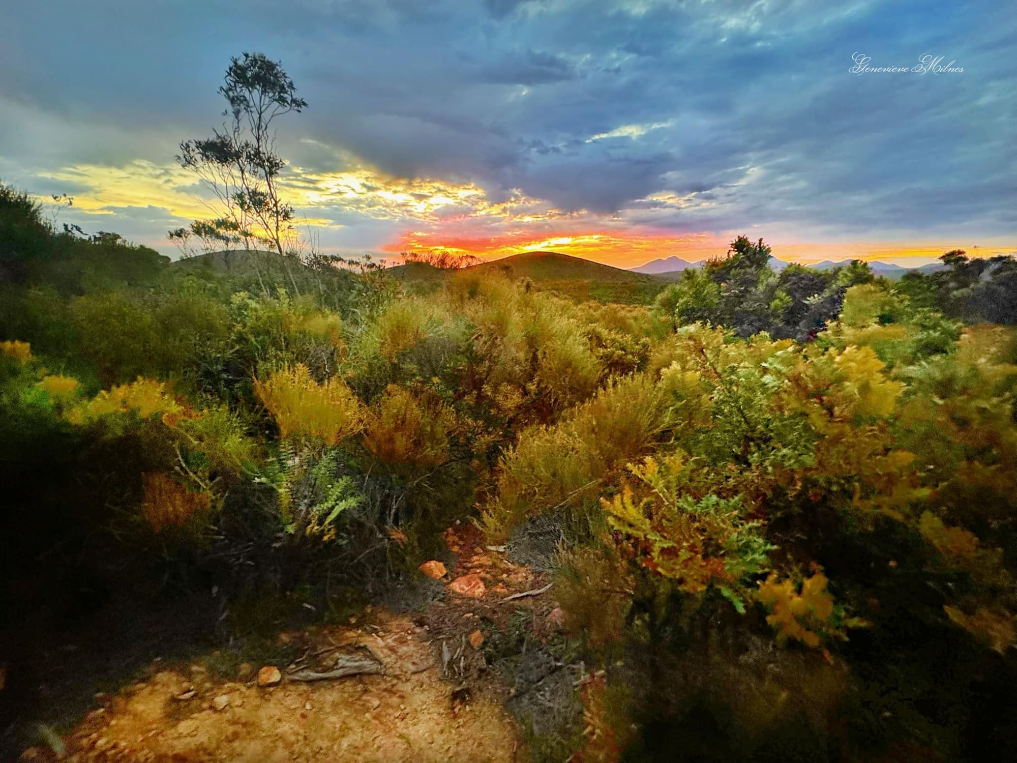 Stirling Range National Park Landscape – Ausemade