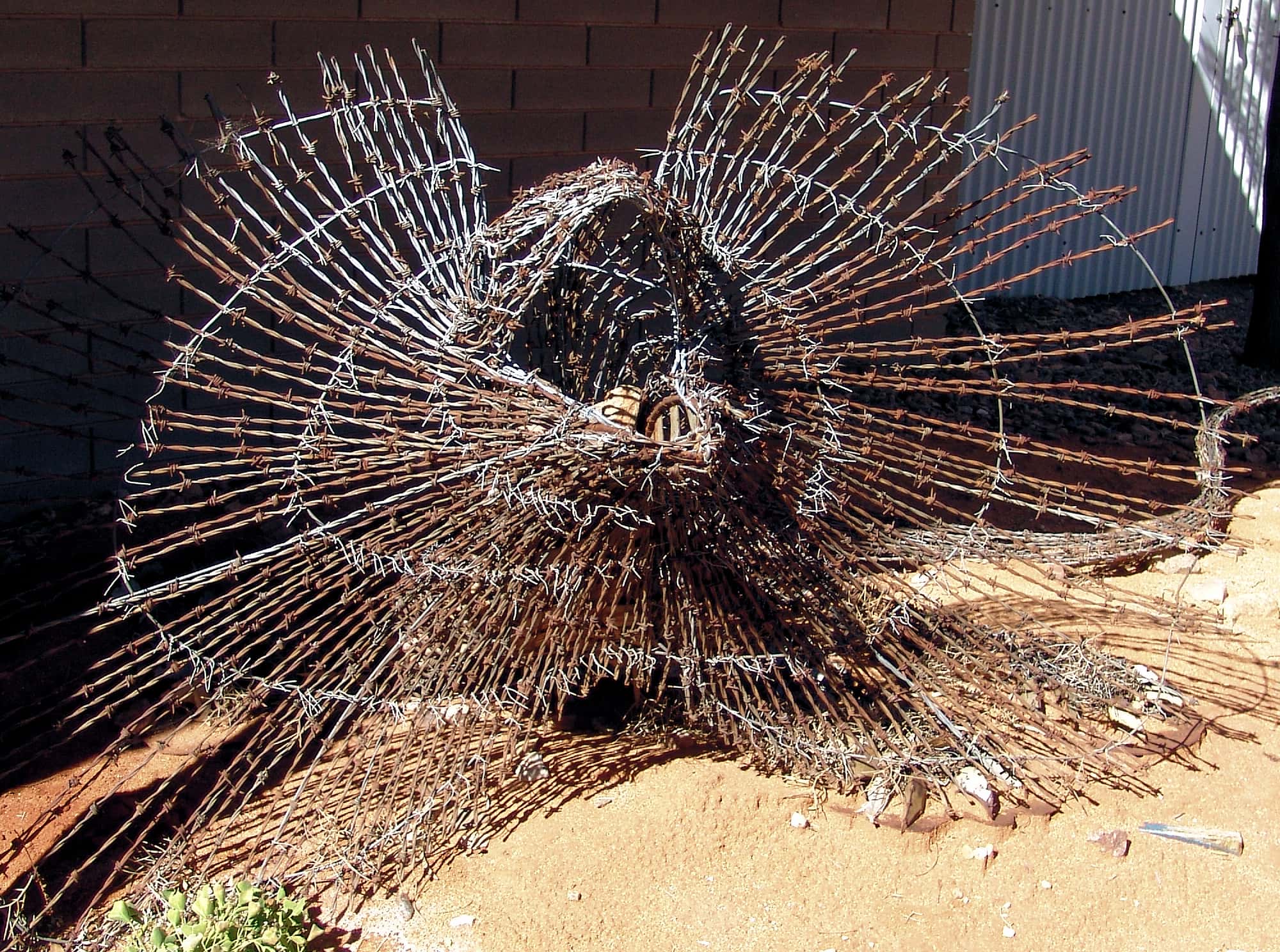 Dan Murphy – Ausemade