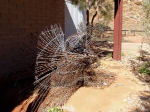 Dan Murphy – Ausemade