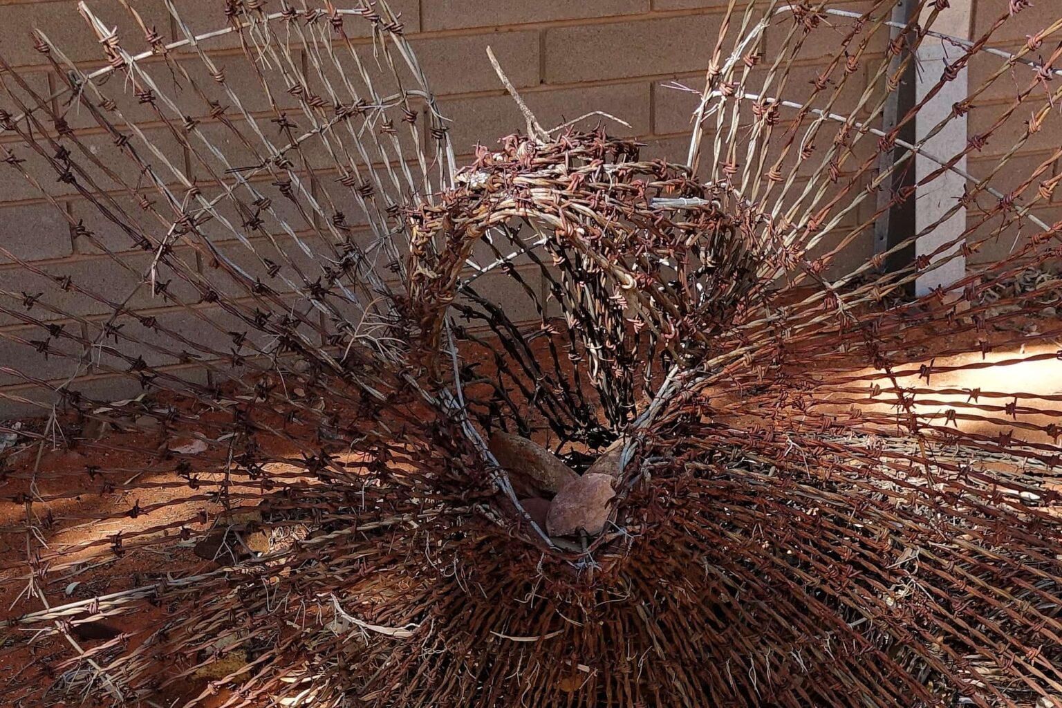 Comet, 1995 – Ausemade