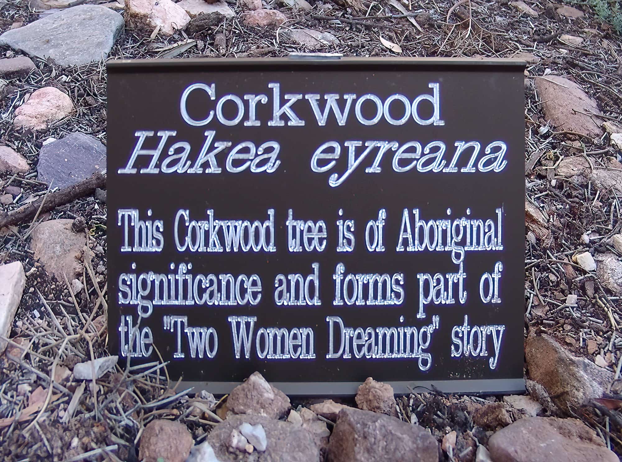 Sacred Sites and the Corkwood Tree – Ausemade