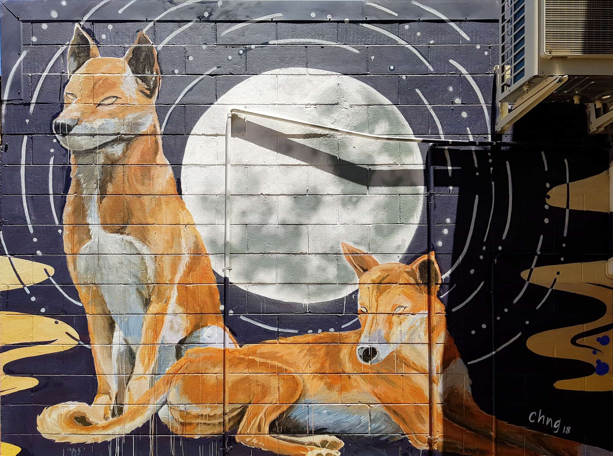 Dingoes Under a Full Moon – Ausemade