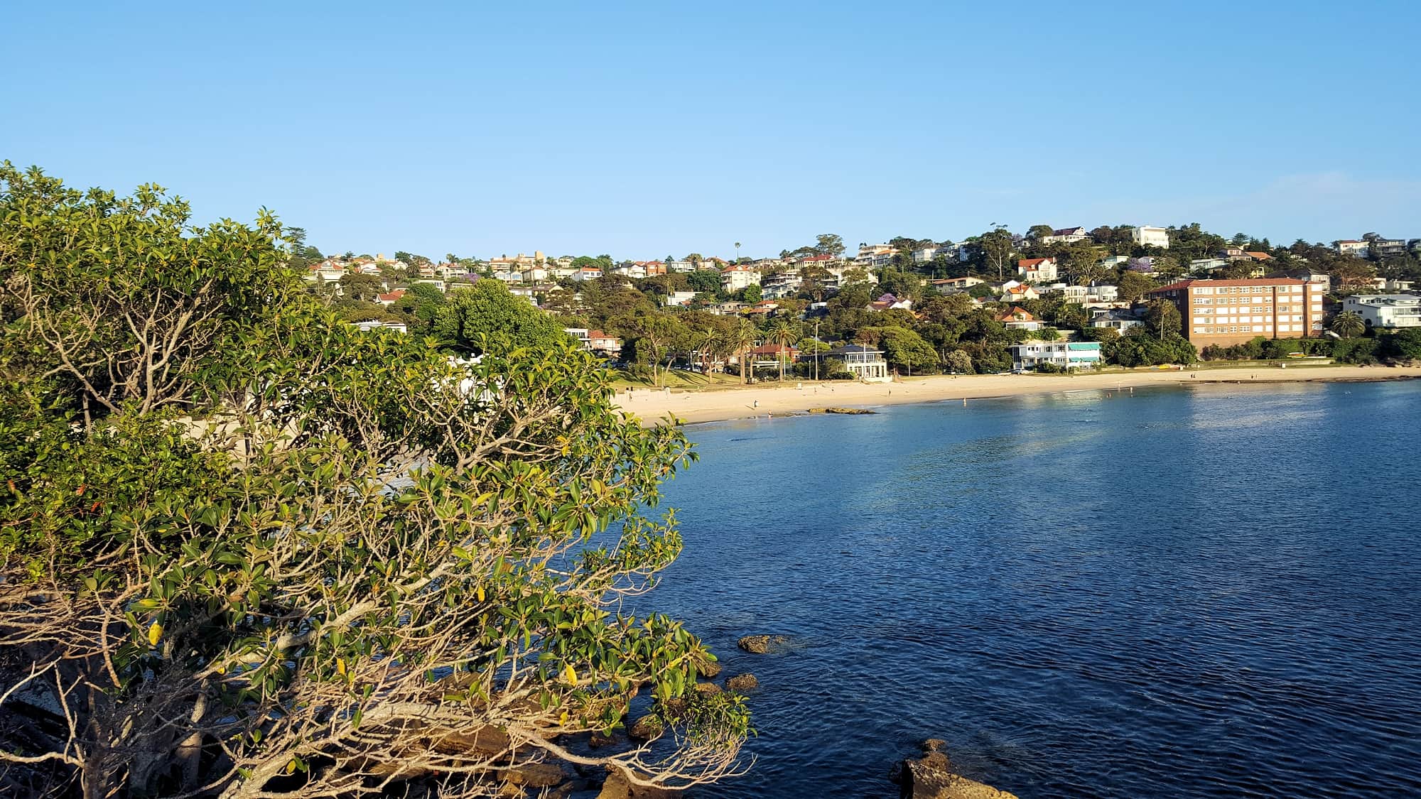 Lower North Shore – Ausemade