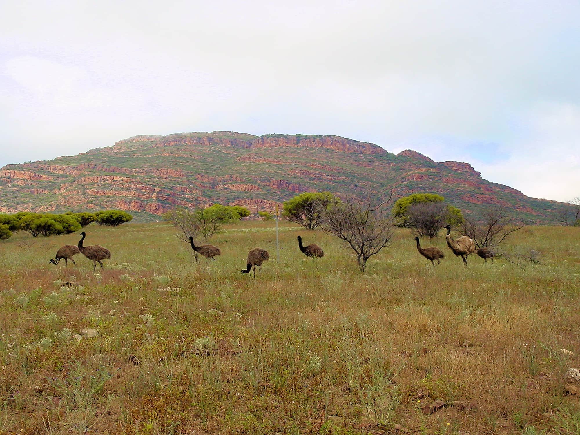 Flinders Ranges & Outback – Ausemade