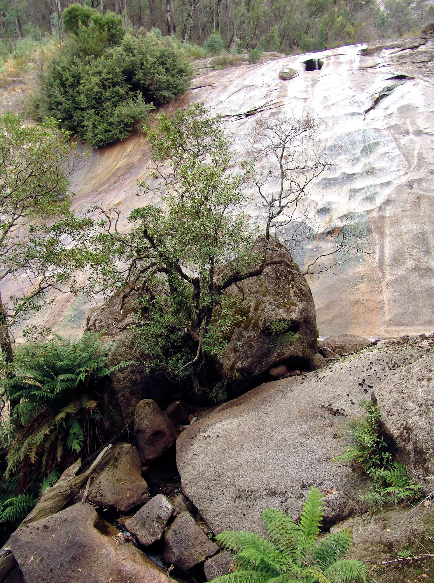 Eurobin Falls – Ausemade