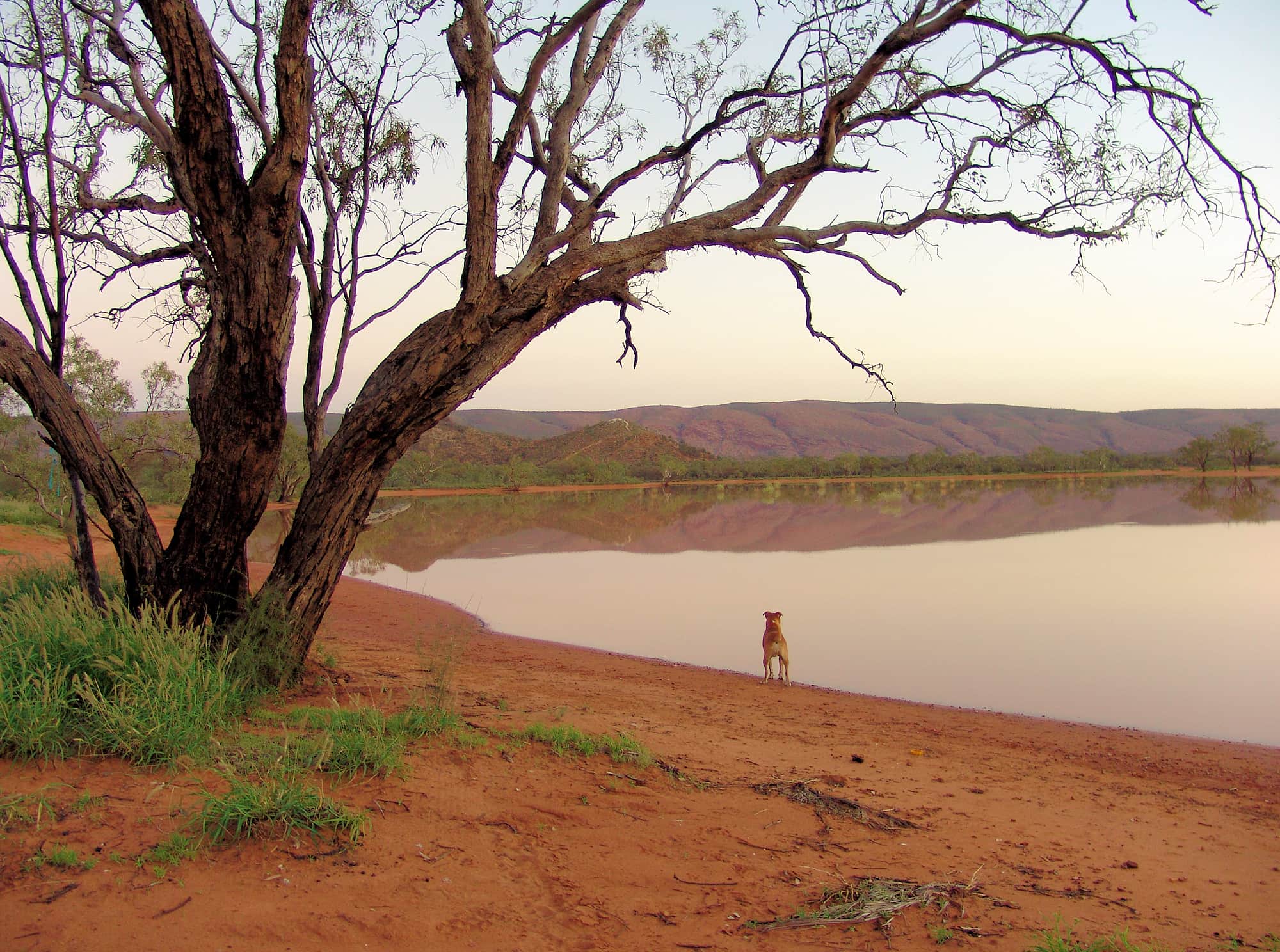 Ilparpa Claypans Landscape – Ausemade