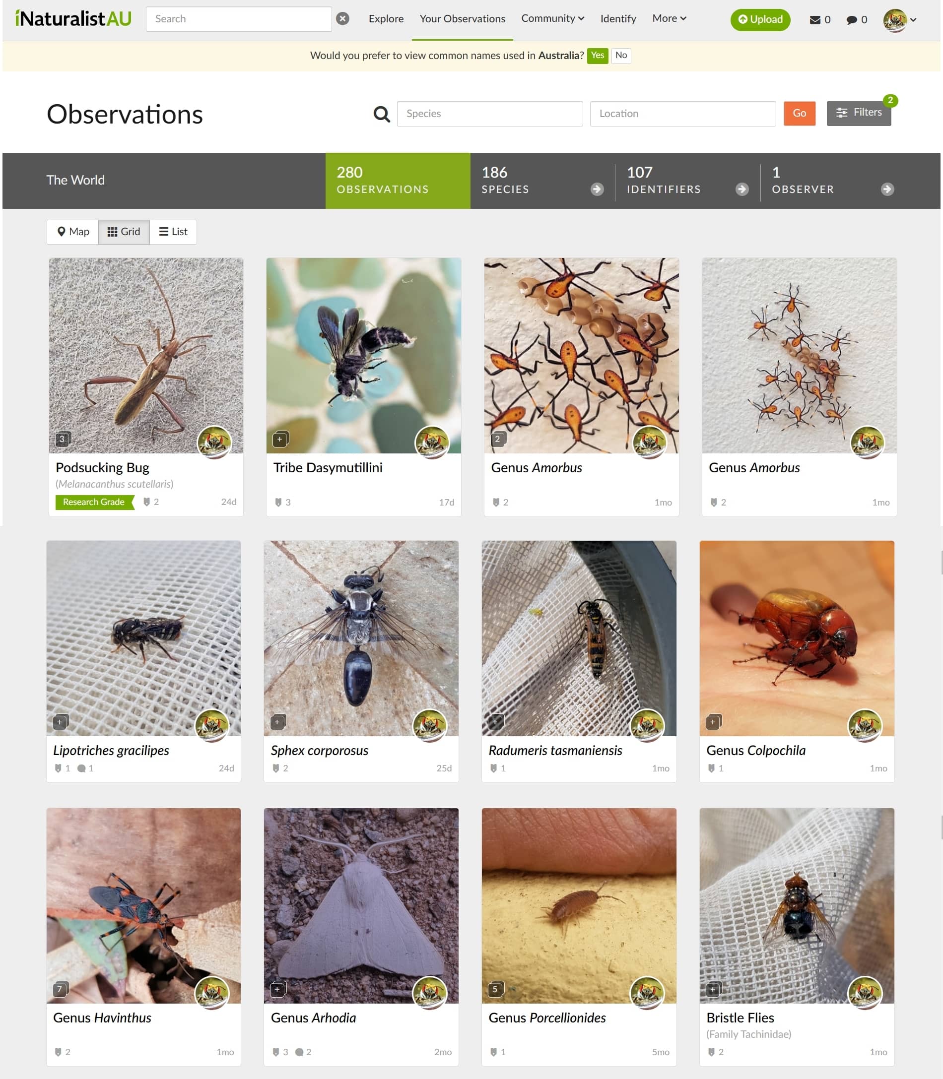 Using iNaturalistAU – Ausemade
