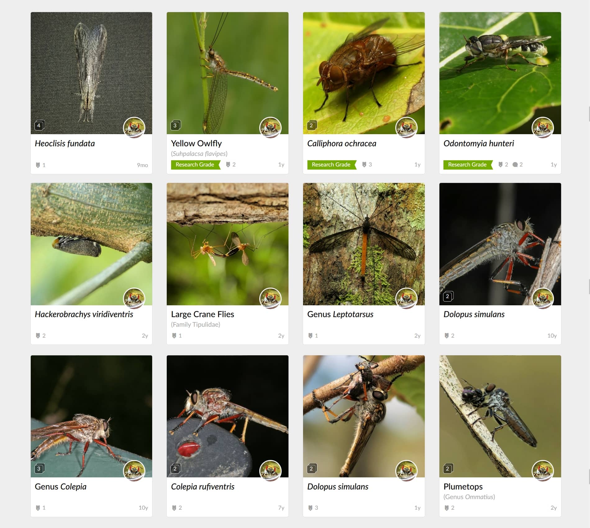 Using iNaturalistAU – Ausemade