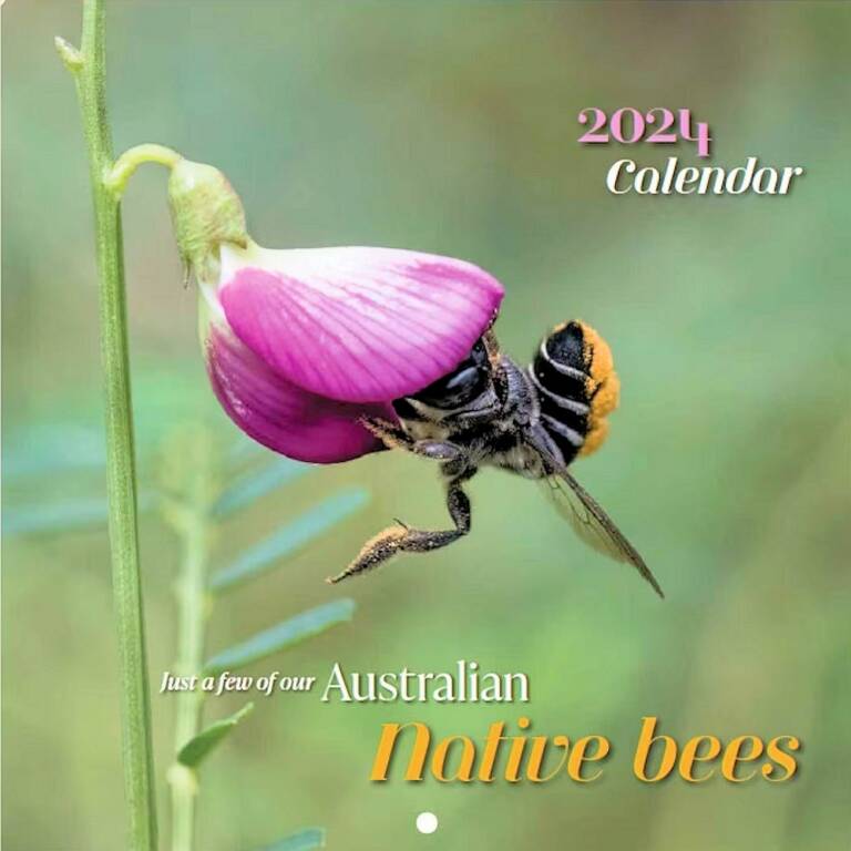 Ausemade – Showcase Australia