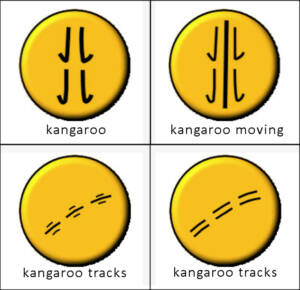 Kangaroo – Ausemade