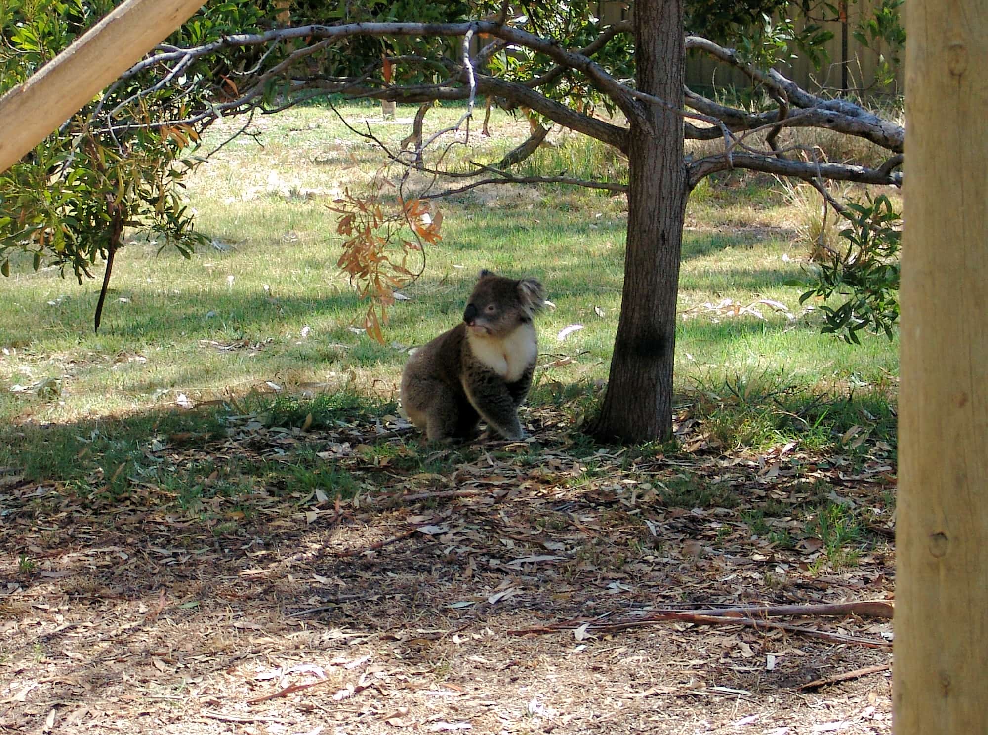 Kyabram Fauna Park – Ausemade
