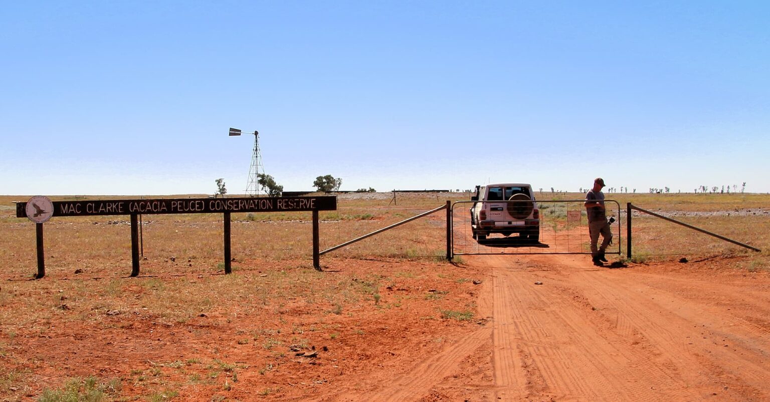 Waddy-wood – Ausemade