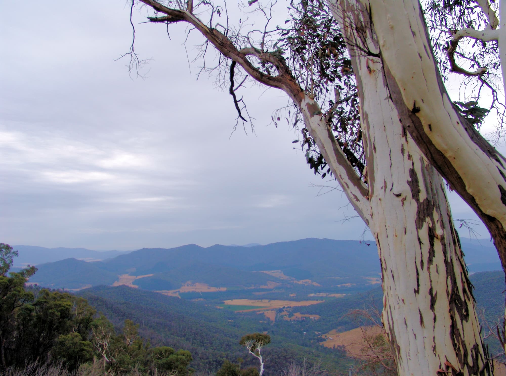 Mount Buffalo – Ausemade