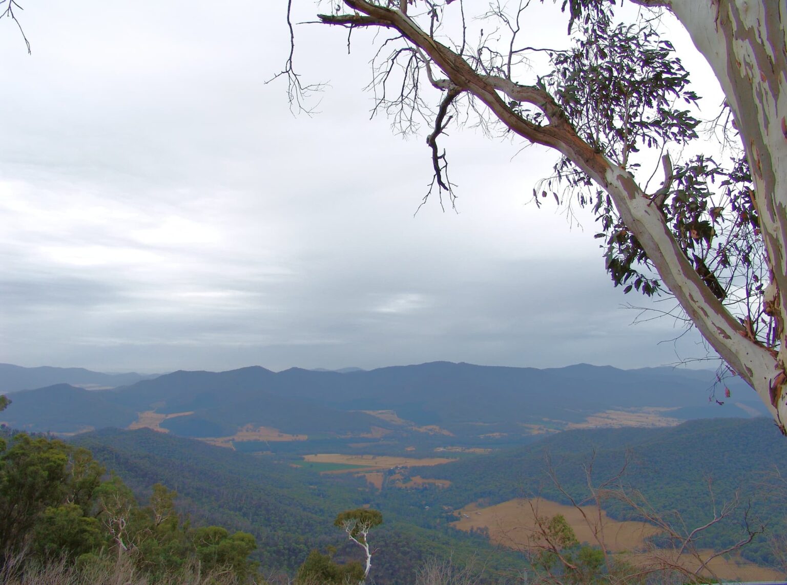 Mount Buffalo – Ausemade