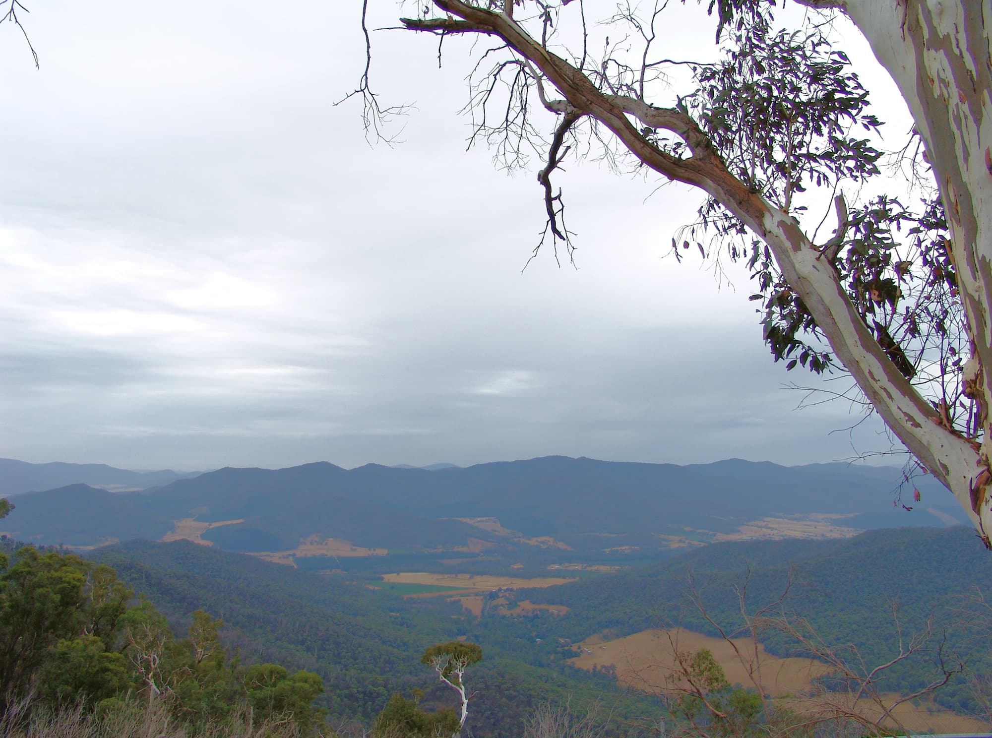 Mount Buffalo – Ausemade