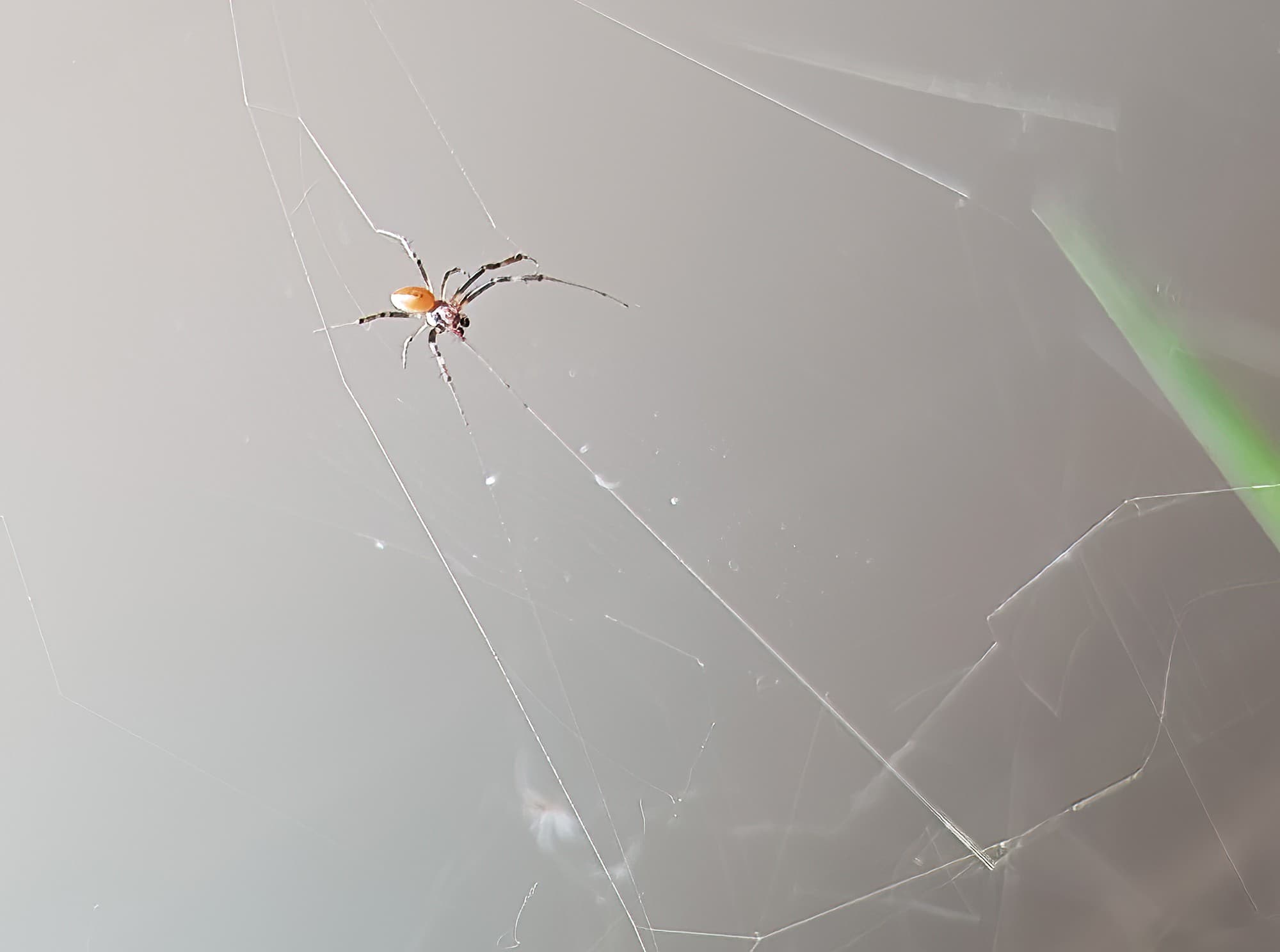 There’s more than size, when opposite attracts – Ausemade