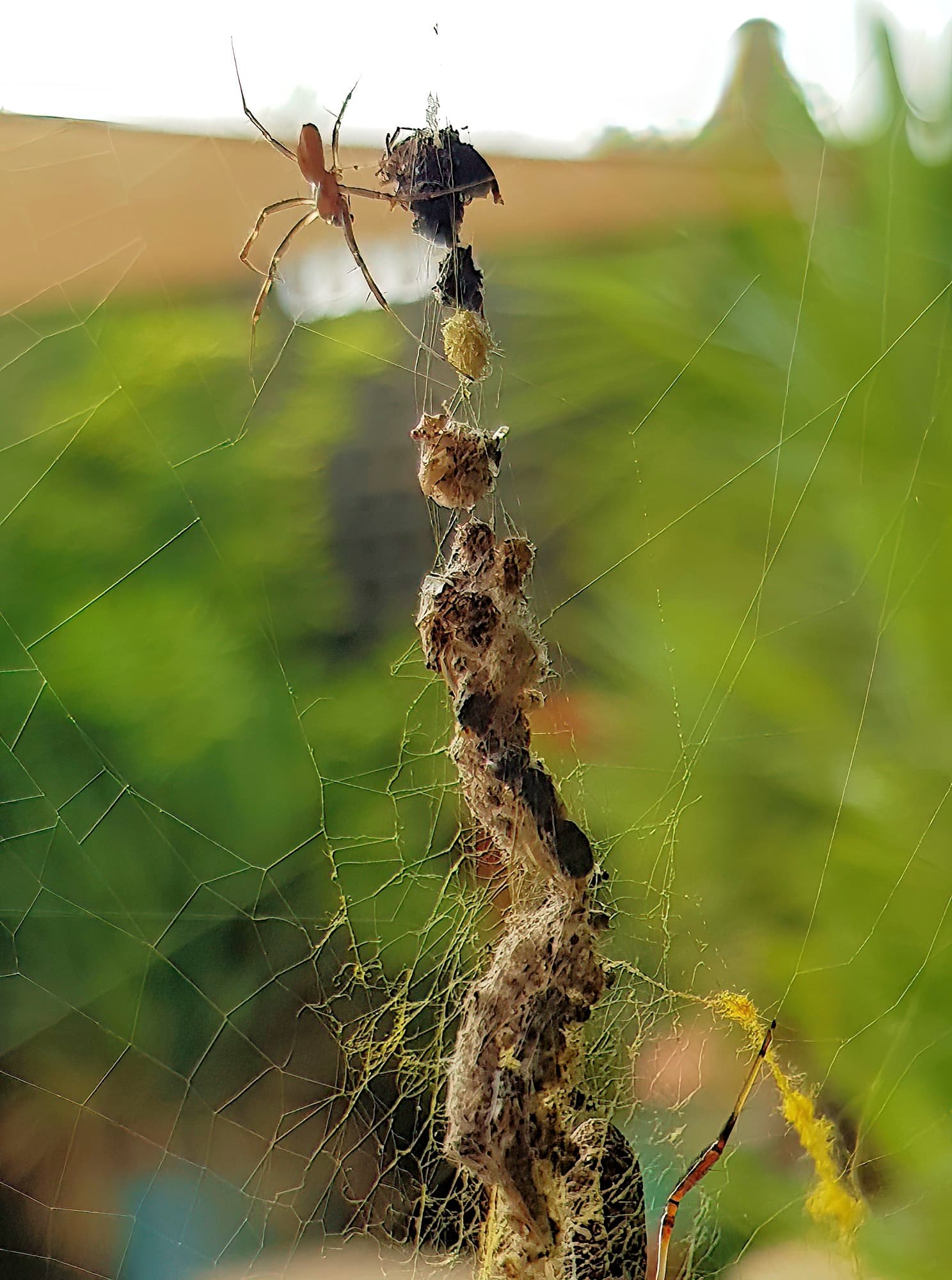 There’s more than size, when opposite attracts – Ausemade