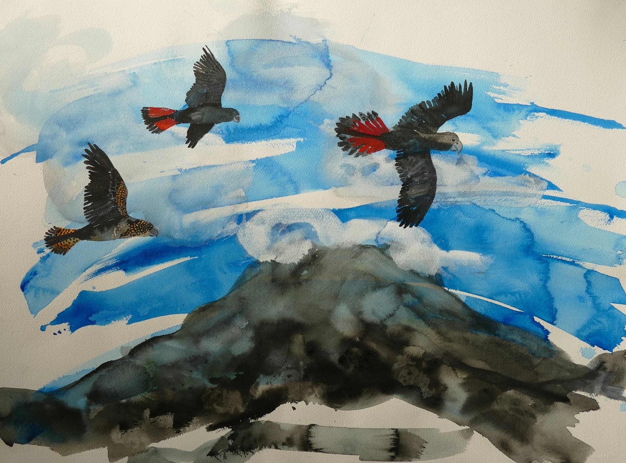 Margaret Worthington — Birds – Ausemade