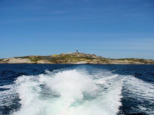 Touring Montague Island – Ausemade