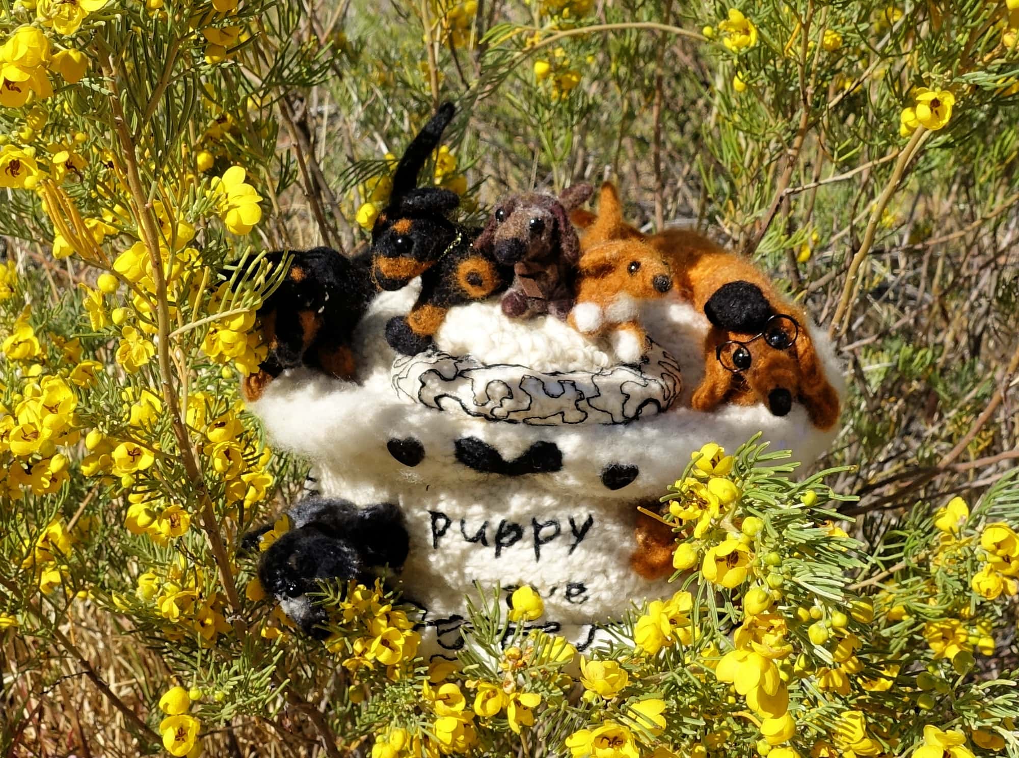 Touring the Red Centre Way with Puppy Love… – Ausemade