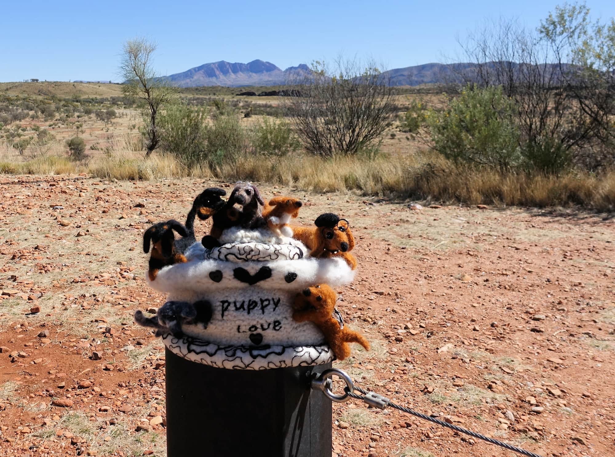 Touring the Red Centre Way with Puppy Love… – Ausemade