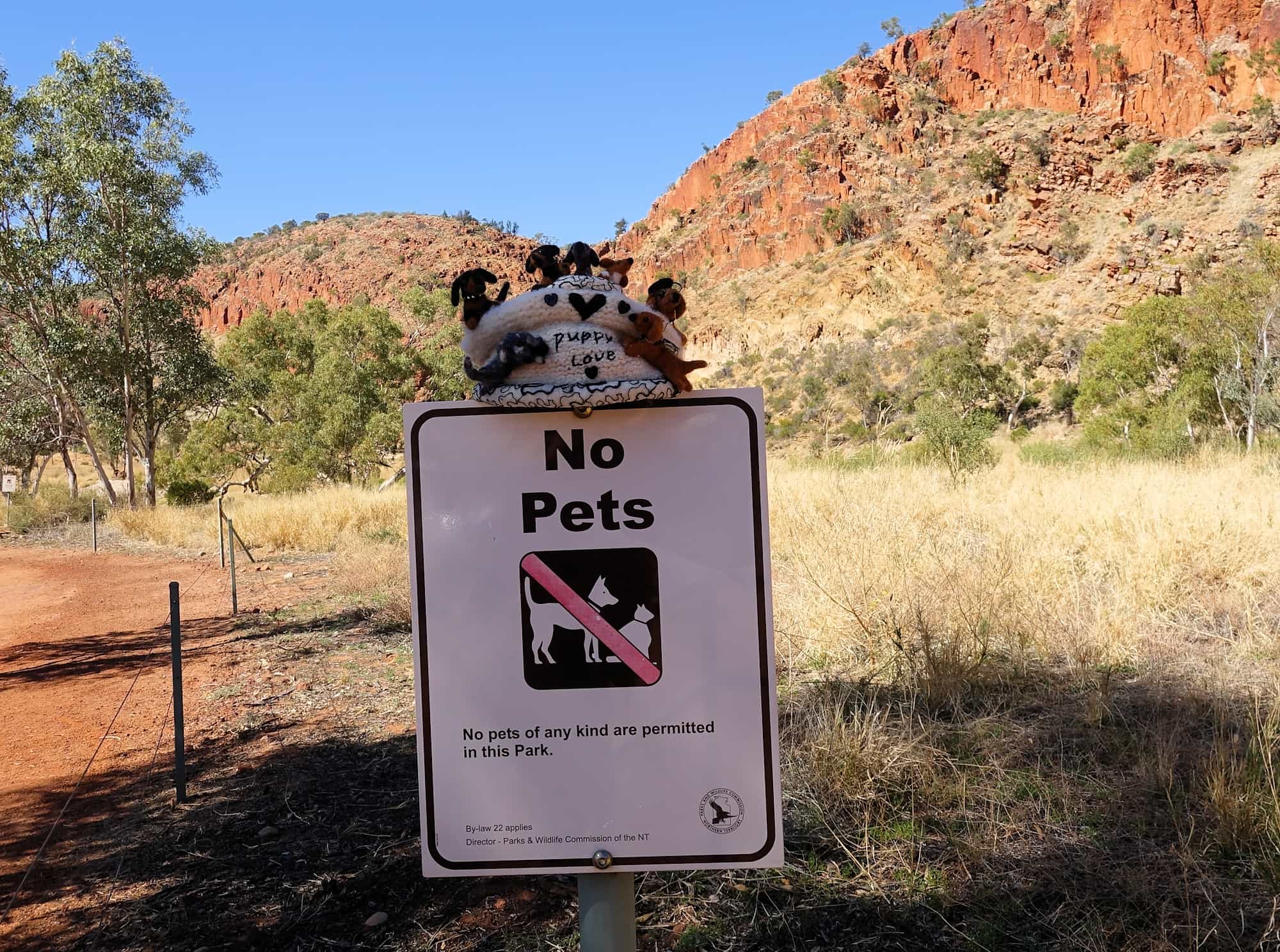 Touring the Red Centre Way with Puppy Love… – Ausemade