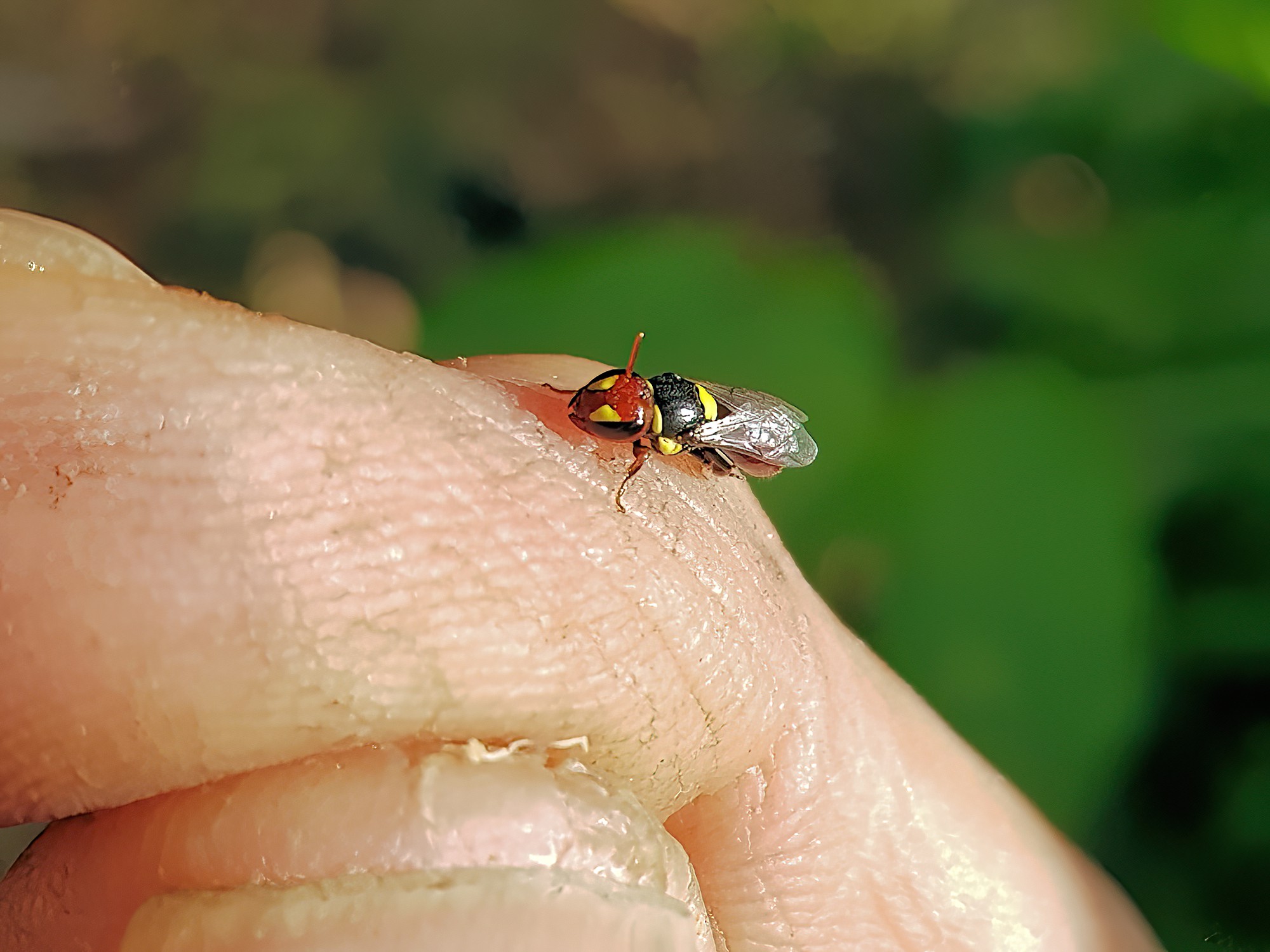 She wears it well… – Ausemade