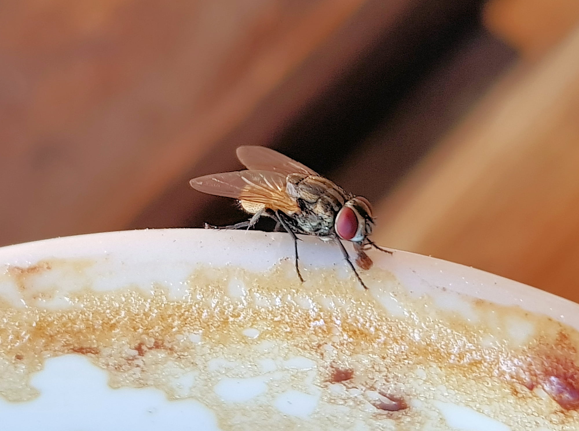 The Aussie salute… – Ausemade