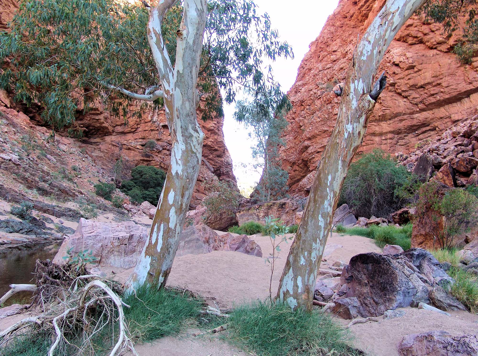 Red Centre Way Drive – Ausemade