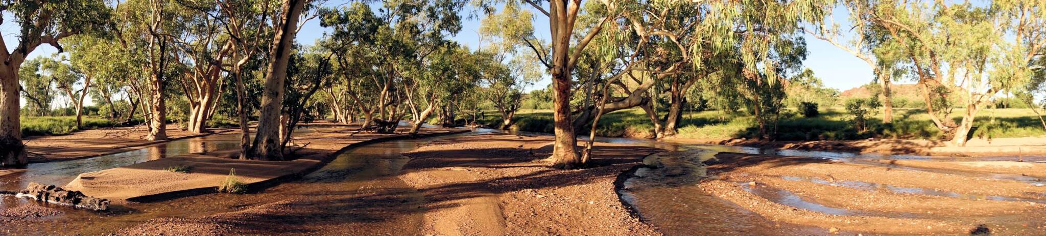 Landscape of Simpsons Gap – Ausemade