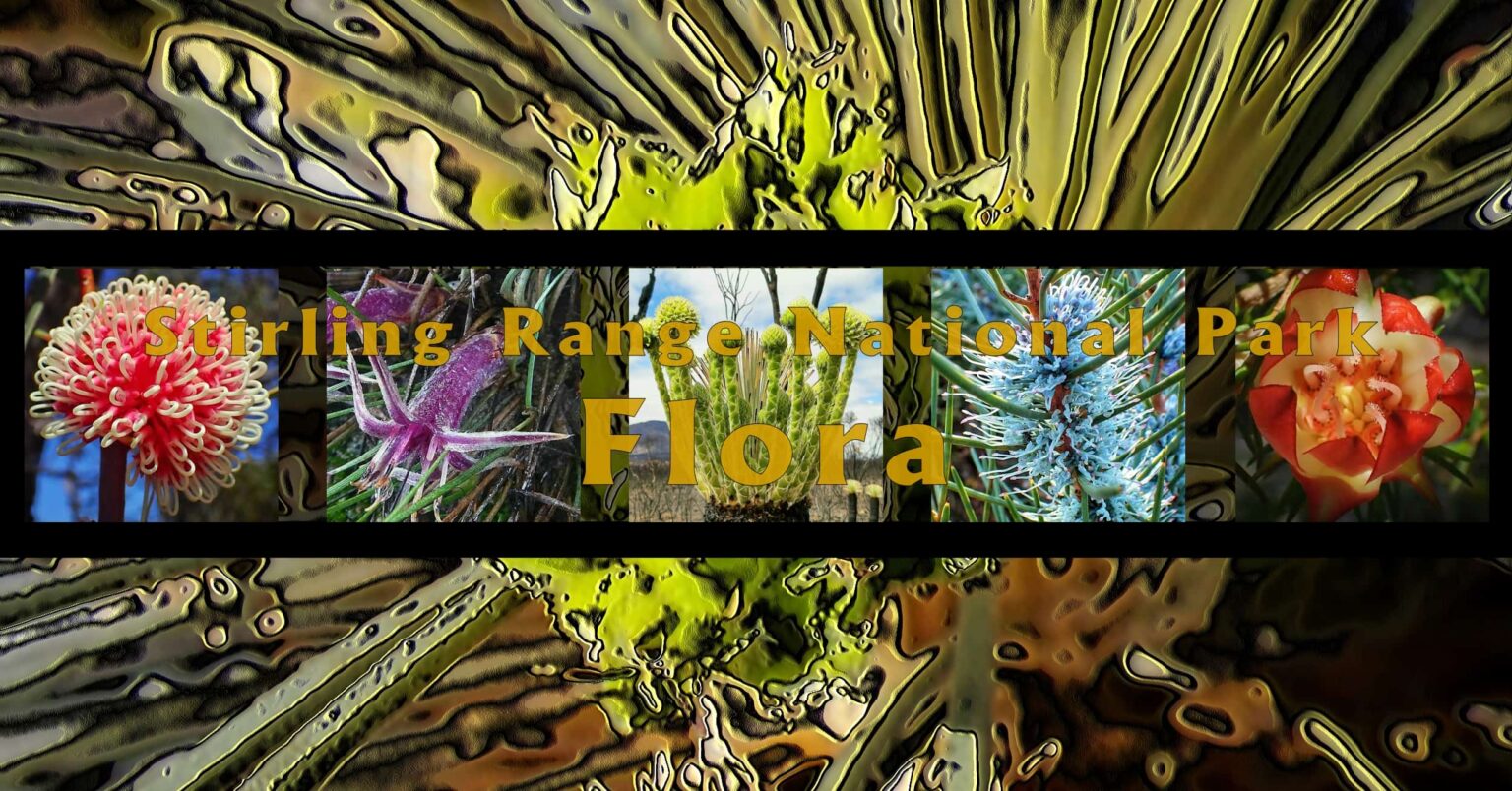 SRNP Flora Index – Ausemade