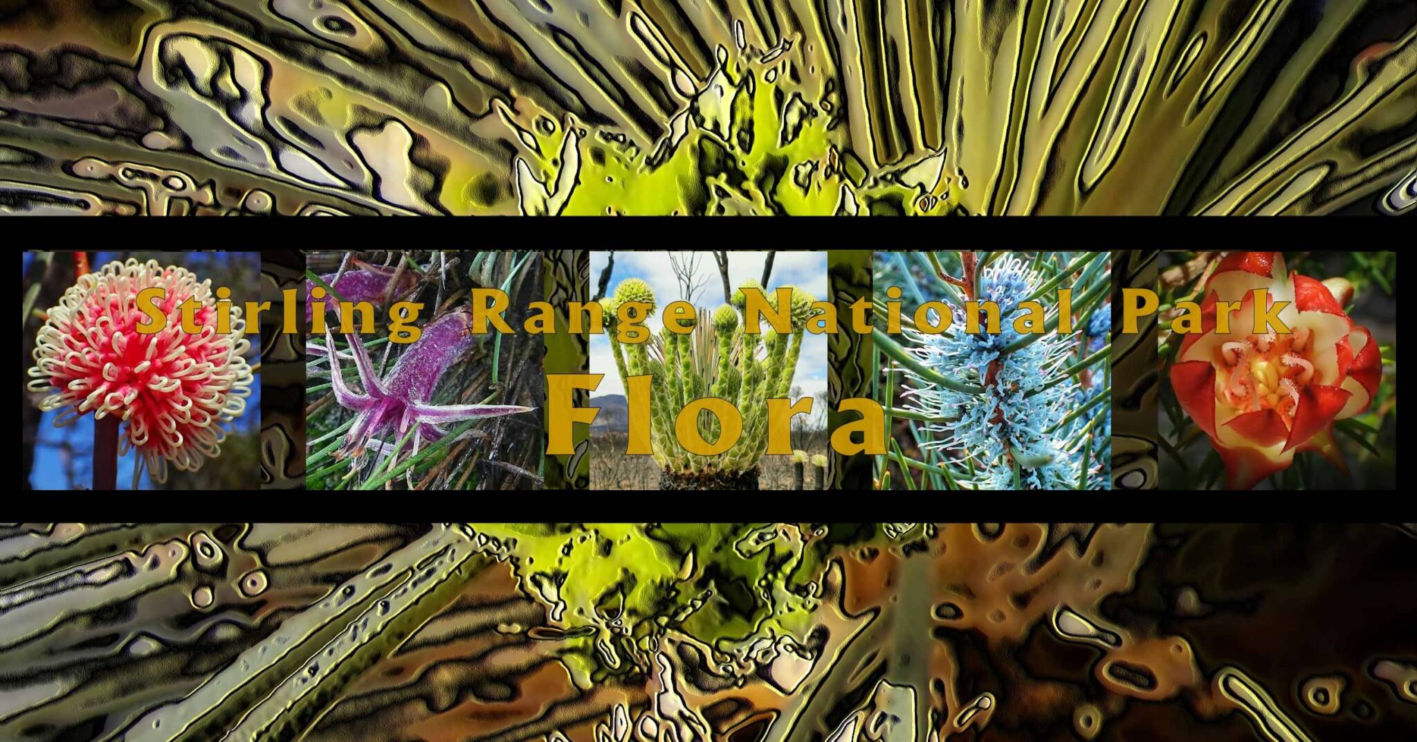 SRNP Flora Index – Ausemade