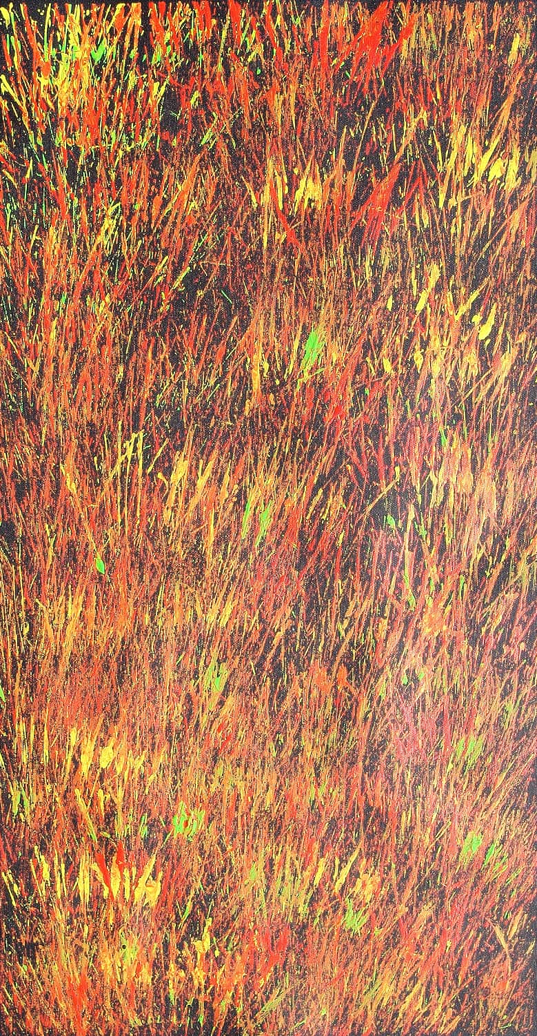 Tjanpi Kampanyi – Ausemade