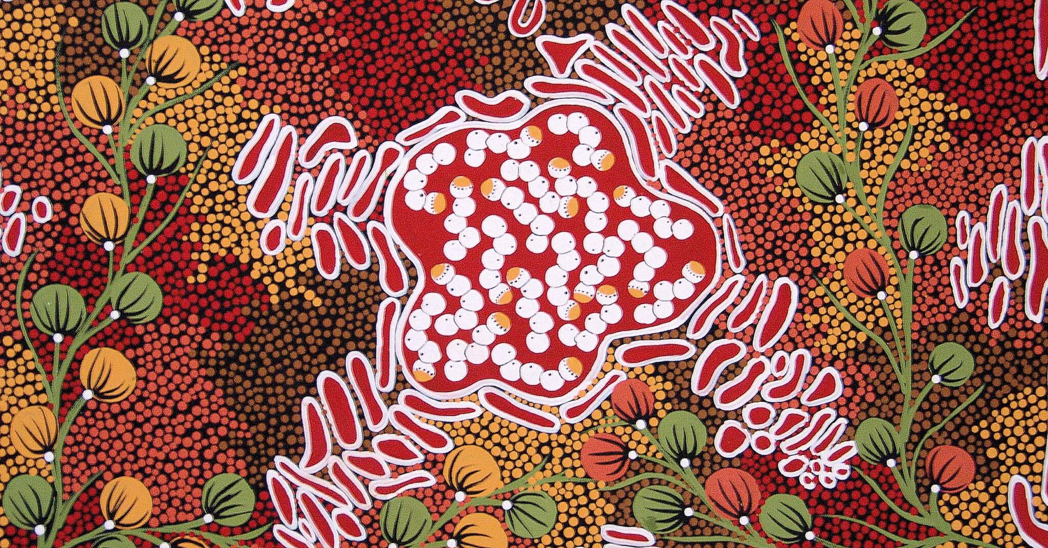 Witchetty Grub – Ausemade