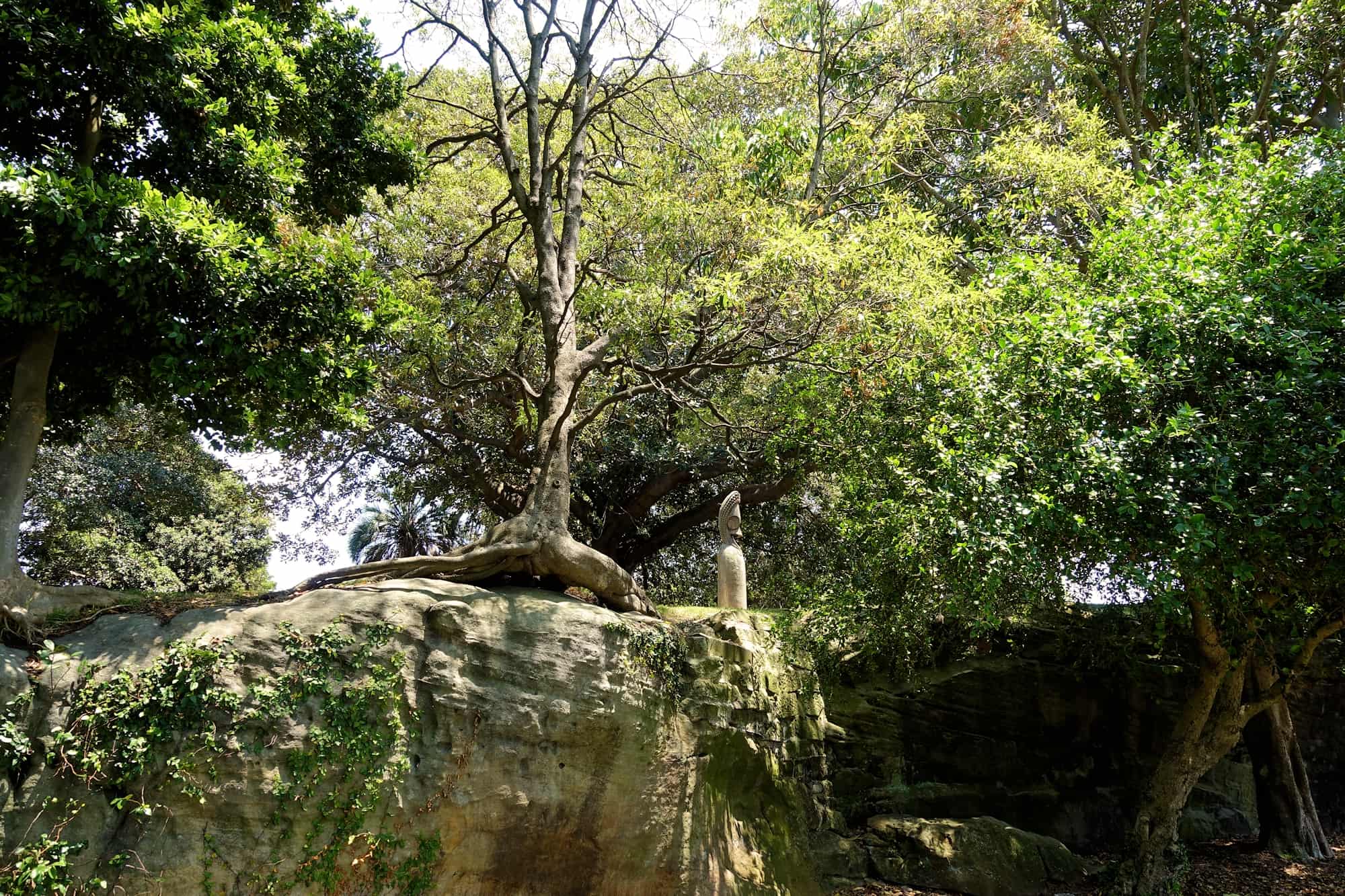 RBGS Flora – Ausemade