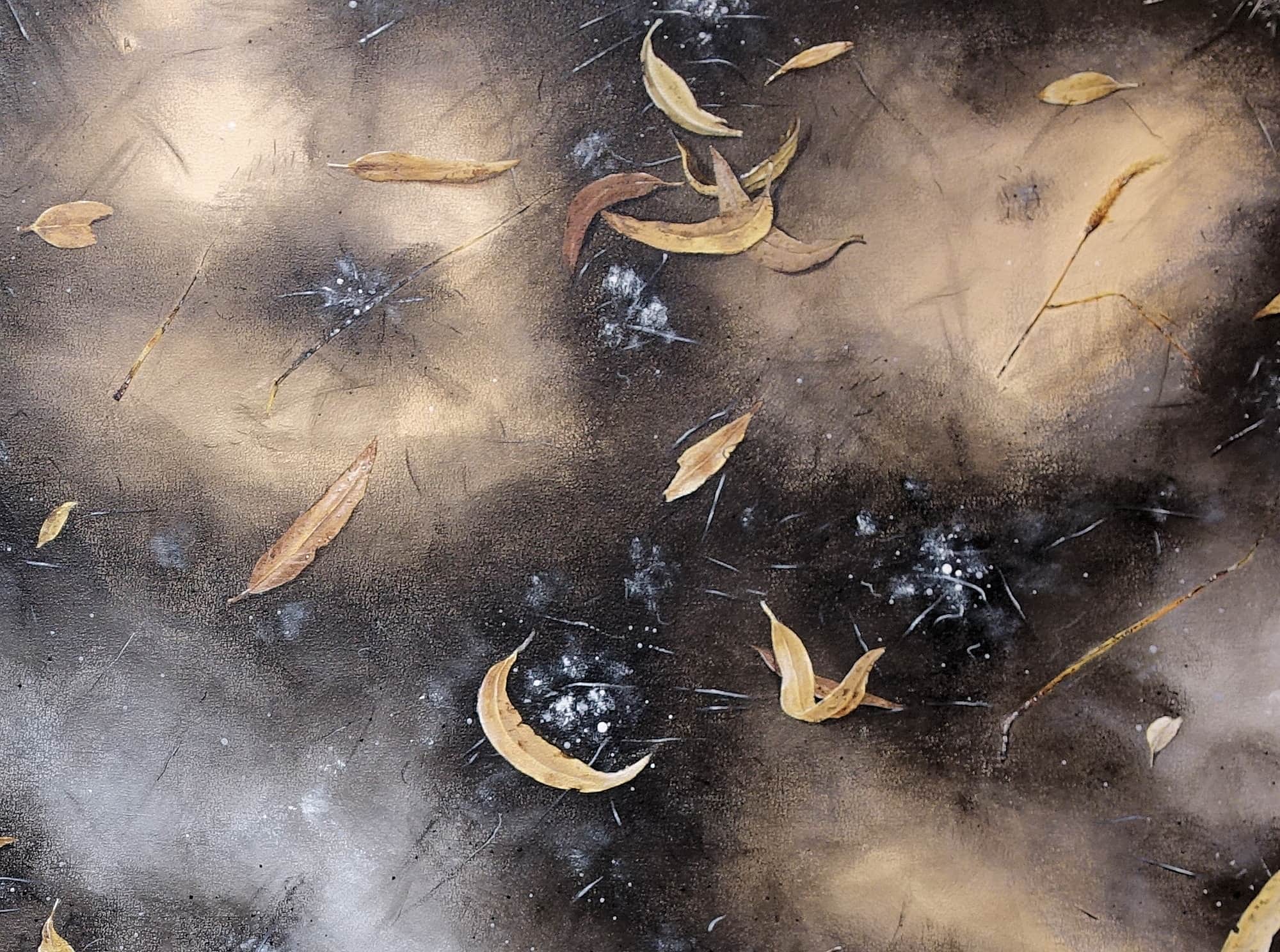 West Macs Ash Patch – Ausemade