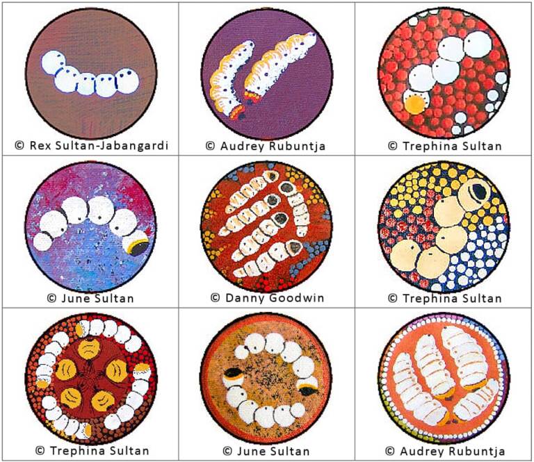 Witchetty Grub – Ausemade